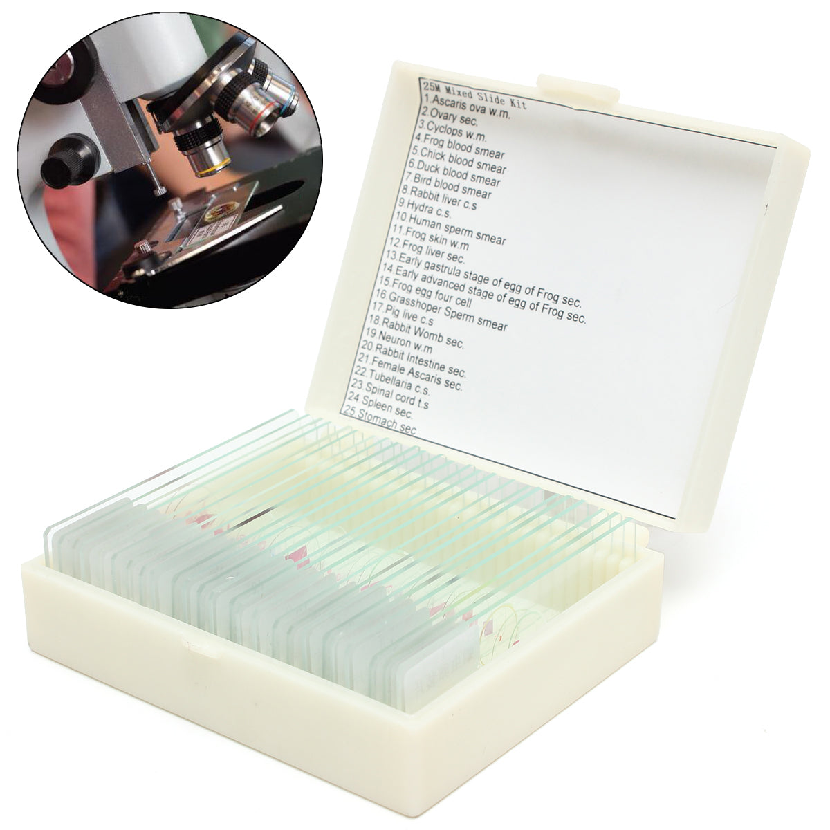 25Pcs Glass Prepared Basic Science Microscope Slides Sample Biology Pa ...