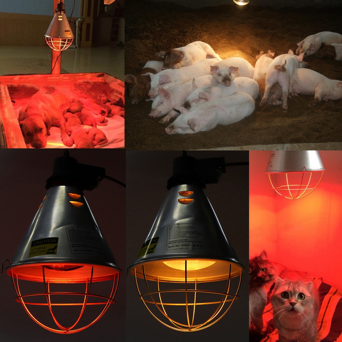 AC240V 250W E27 Poultry Heat Incubator Lamp With Transparent / Red Lig ...